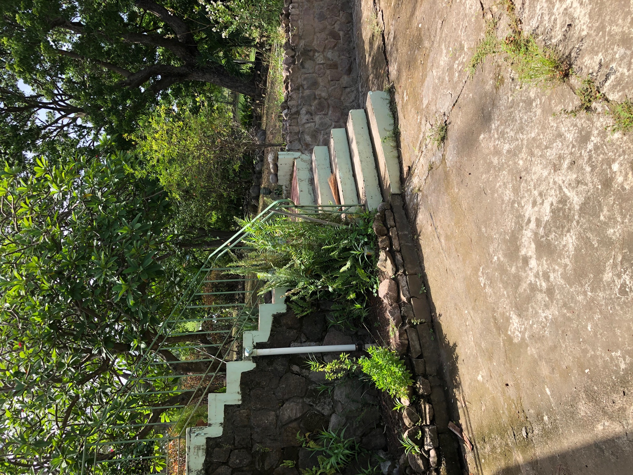 Wind Mill Peace | Tradewinds Montserrat